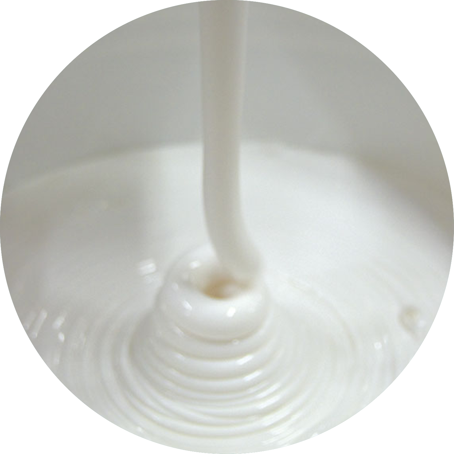 Vinyglue – Menichetti