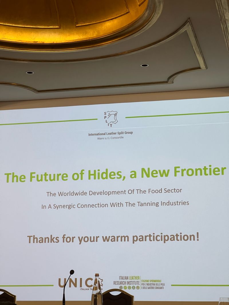 Menichetti and the conference “The Future of Hides, a New Frontier ...
